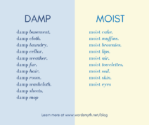 damp vs. moist – Wordsmyth Blog